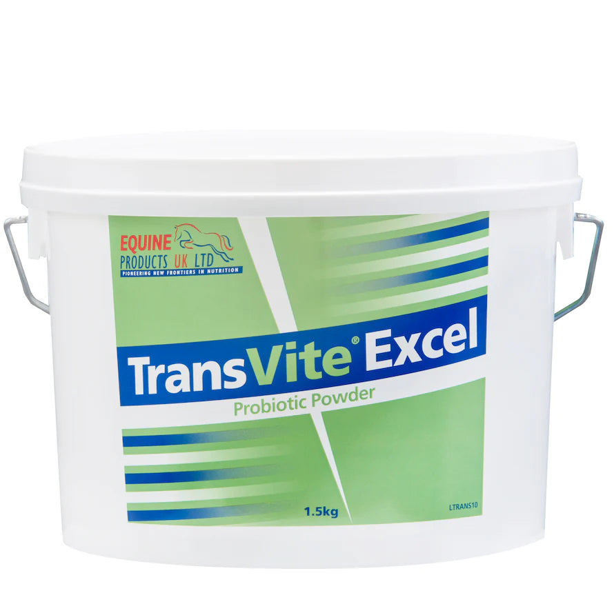Equine Products UK Transvite Excel - The Ultimate Gut Balancer – The ...